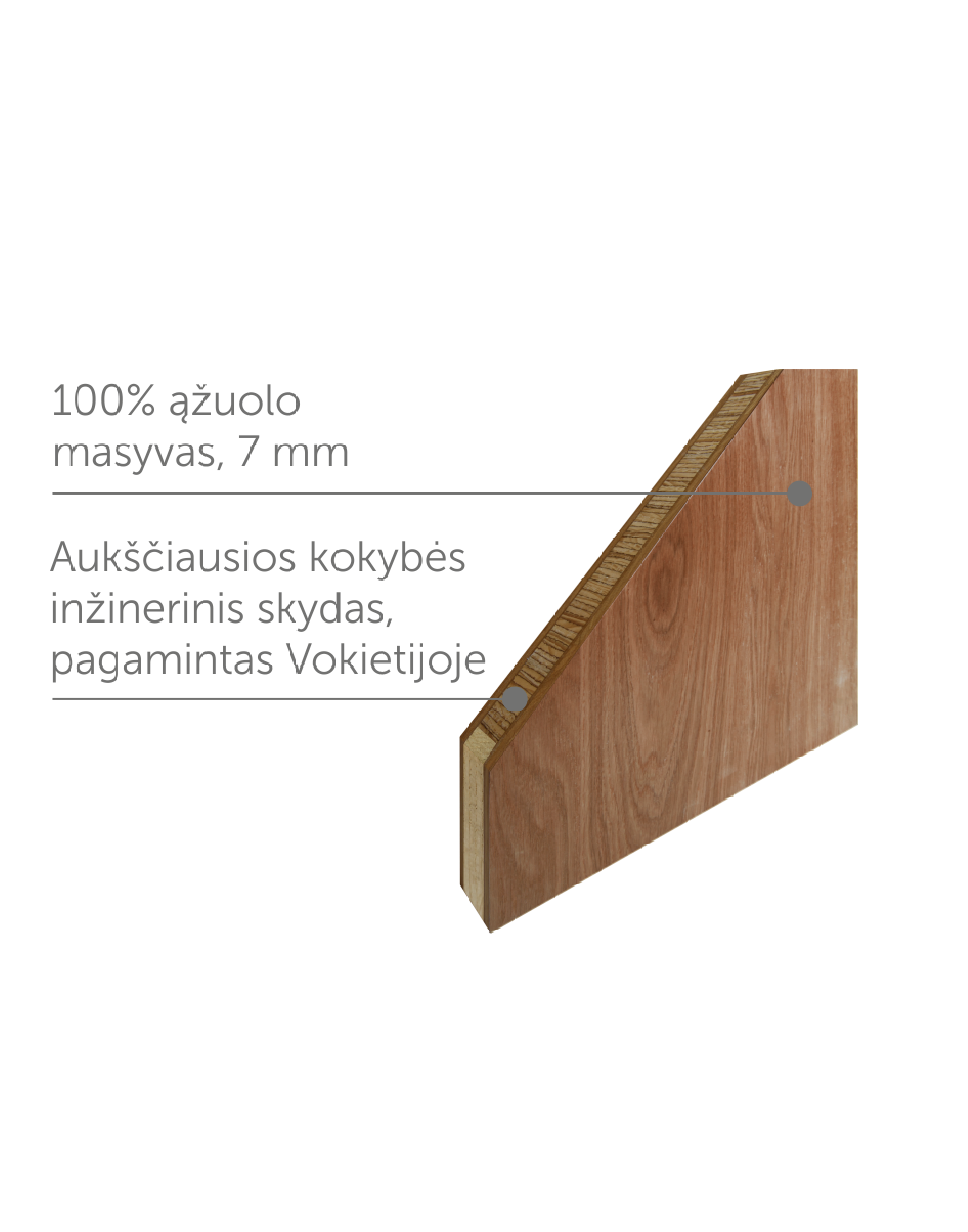 Medinės vidaus durys iš ąžuolo masyvo - Medžio stilius