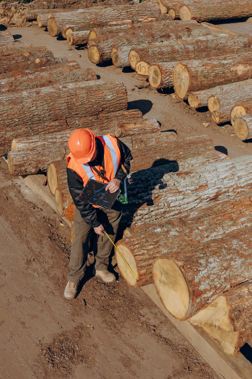 Ąžuolo mediena kuria unikalų jūsų namų interjerą - Medžio stilius